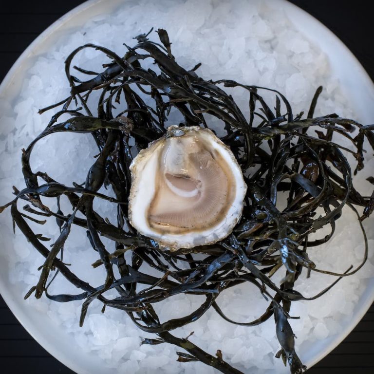 Platte Oesters - Café Maris - Restaurant & Schelpdieren in Brussel ...